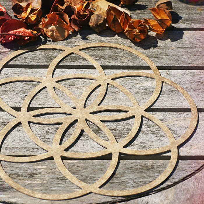 INFEA® ''Saat des Lebens'' natur Ø 19cm - INFEA